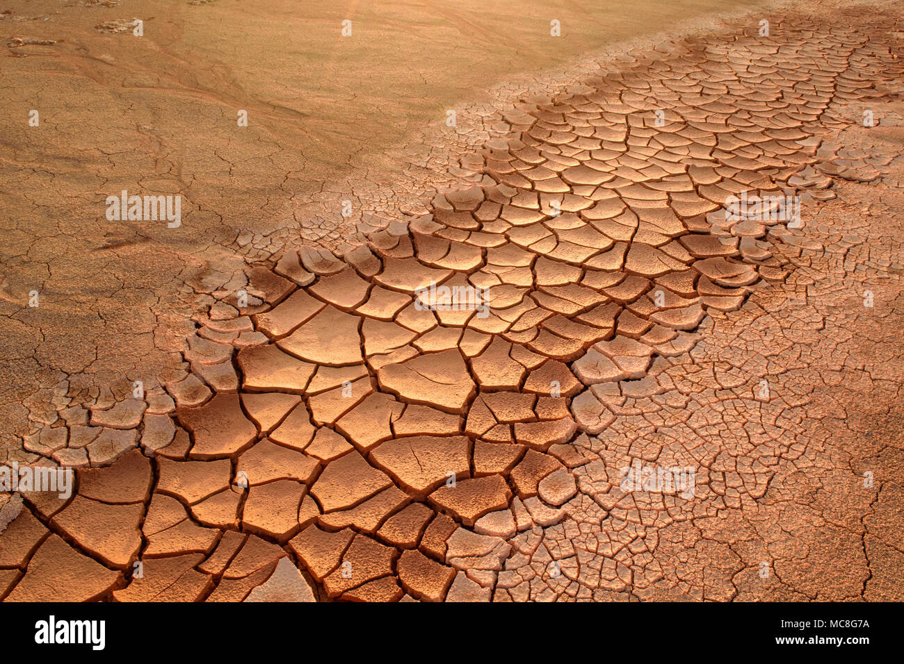 natural pattern, texture, abstract and background in nature Stock Photo ...