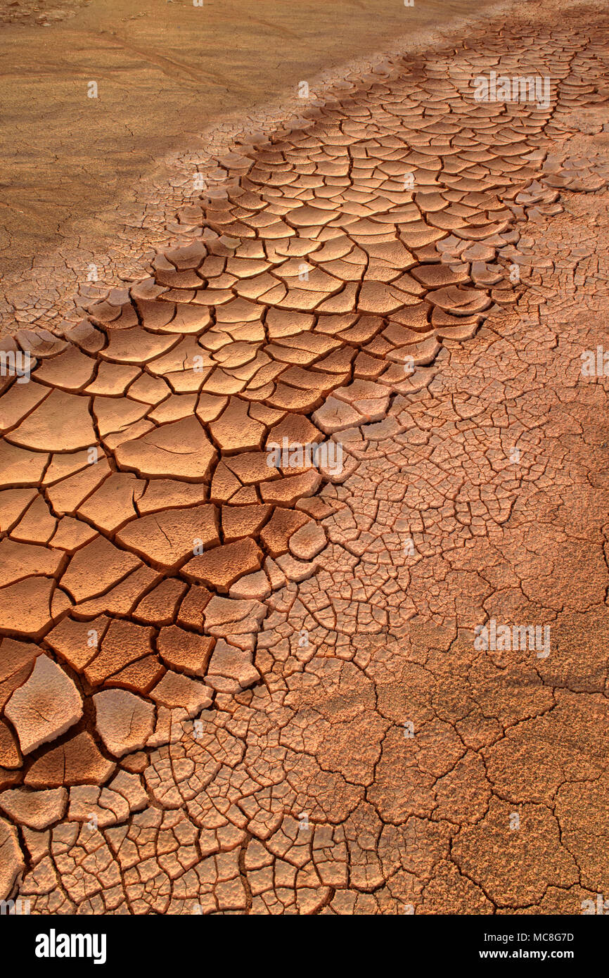 natural pattern, texture, abstract and background in nature Stock Photo ...