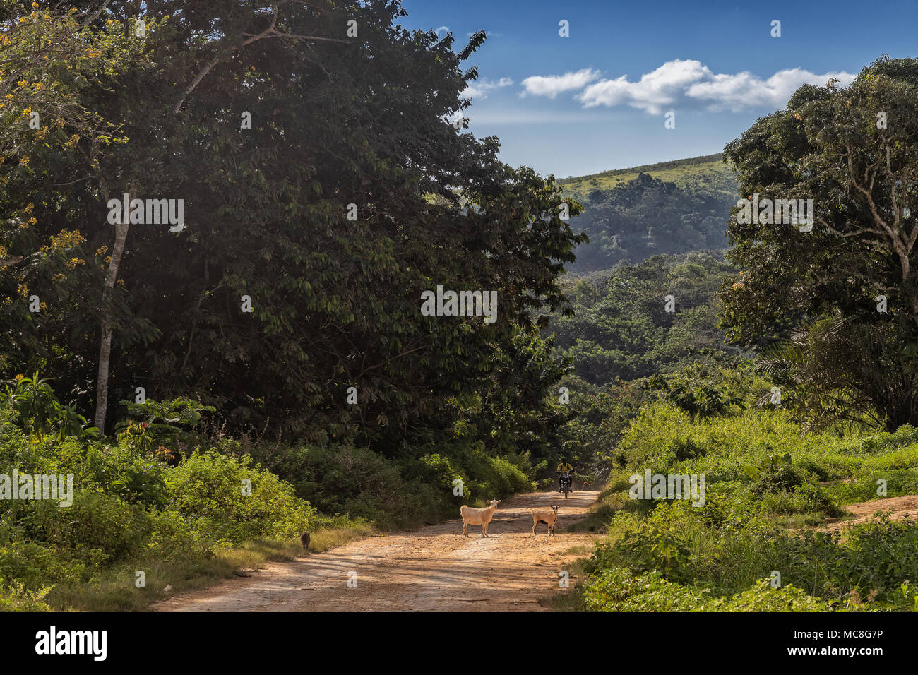 Angola africa malange hi-res stock photography and images - Alamy