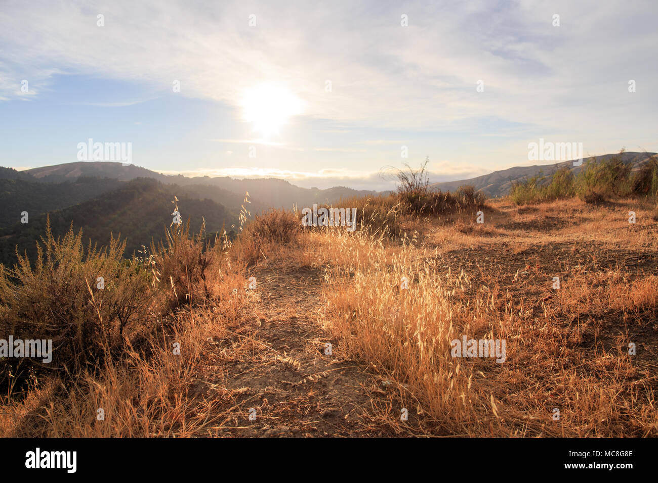 Warm summer sunset from a golden Marin hilltop Stock Photo - Alamy