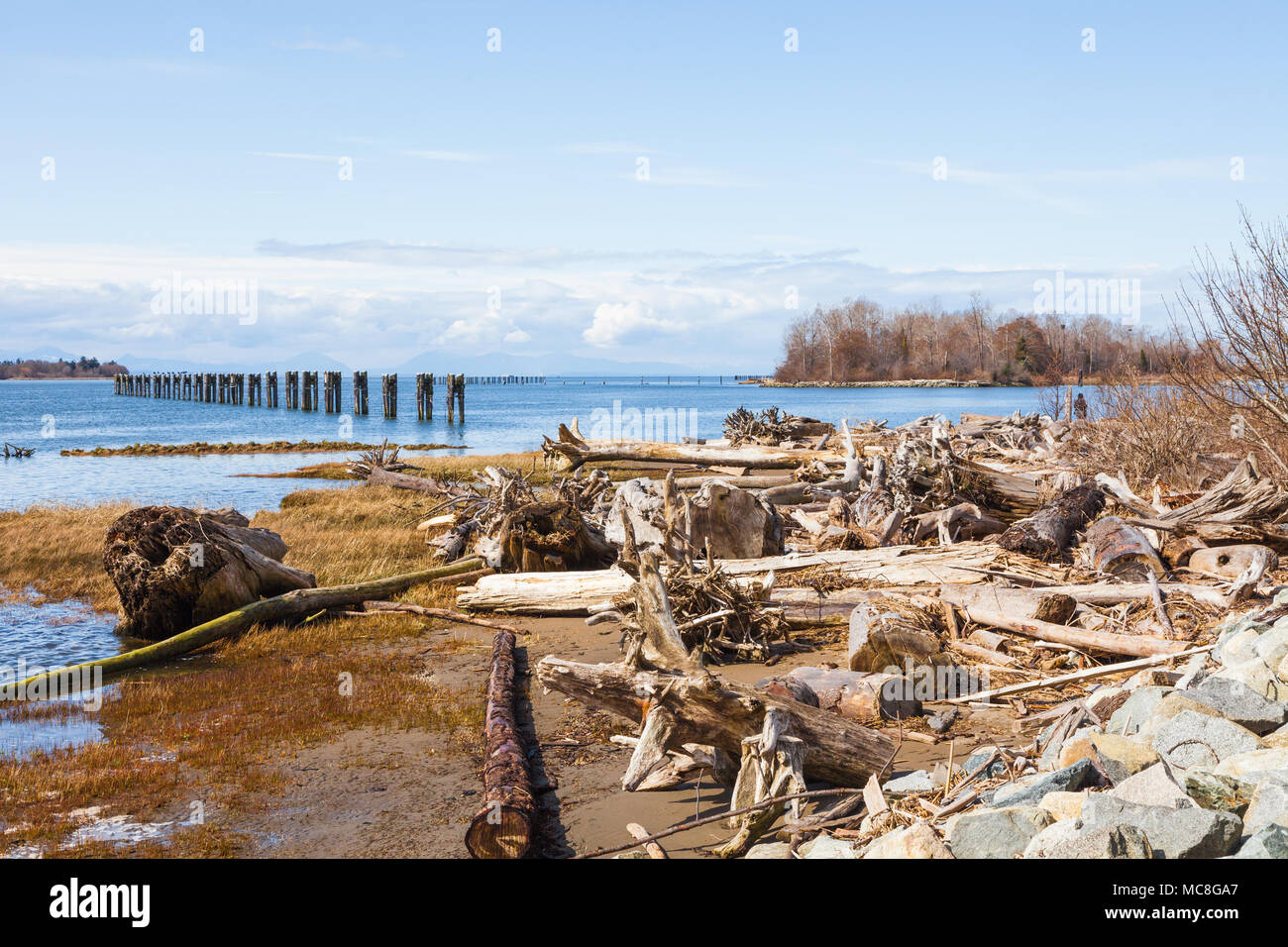 Shoreline and riverbank hi-res stock photography and images - Alamy