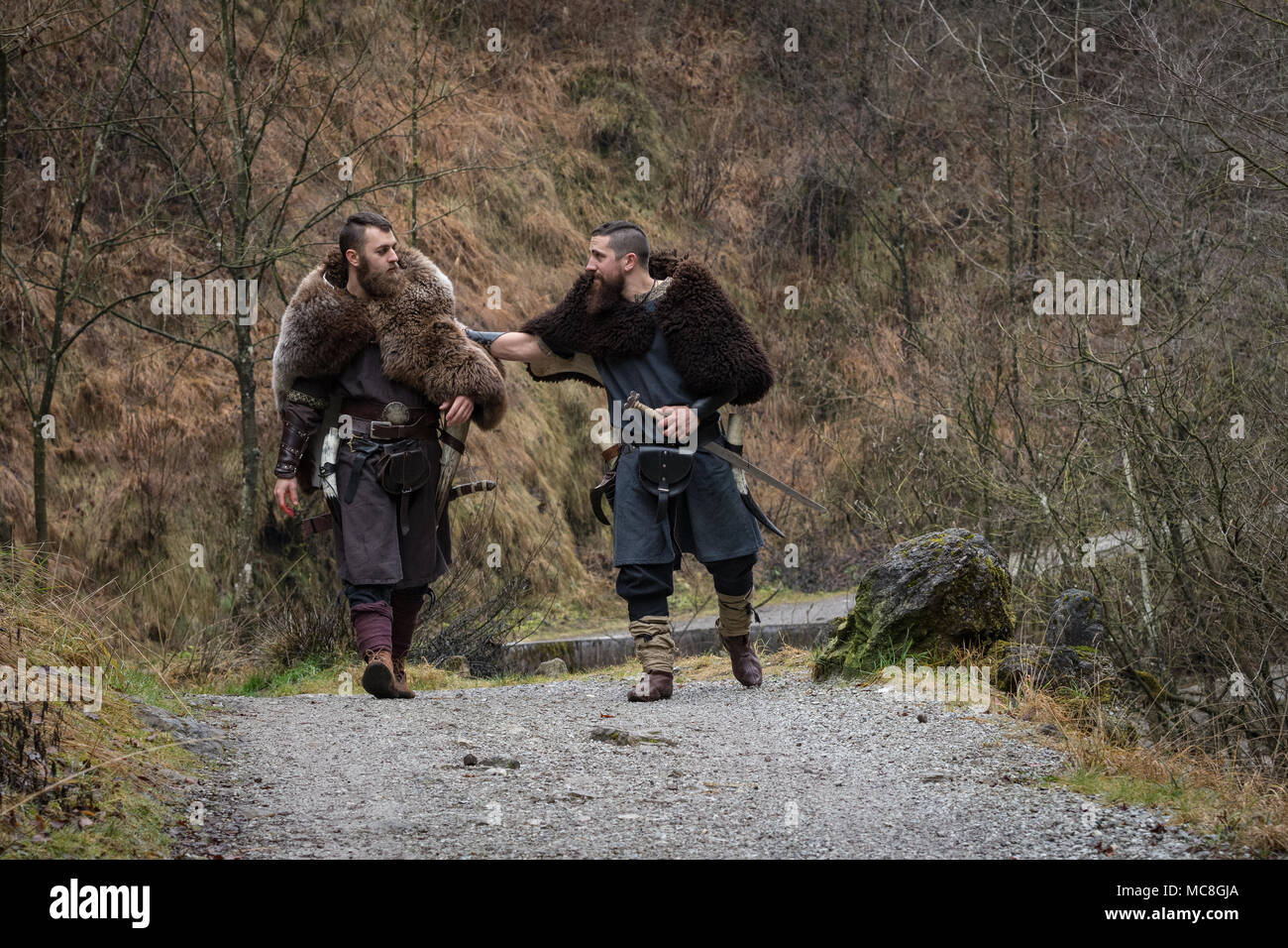 two Viking warriors walk on an ancient forest path Stock Photo - Alamy