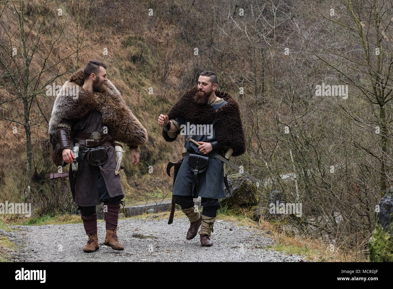 two Viking warriors walk on an ancient forest path Stock Photo - Alamy