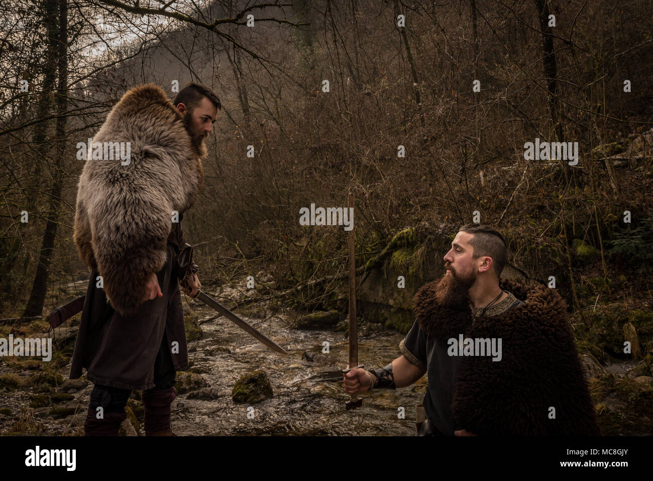 two Vikings in the forest on the bank of the river hold swords Stock ...