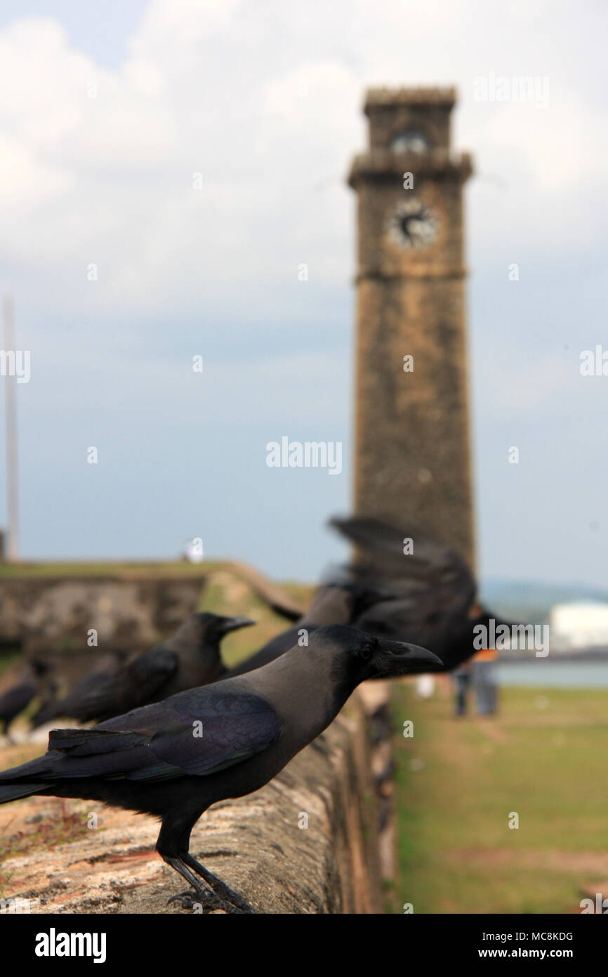 The Galle Fort, an old colonial fortified bastion in Galle, Sri Lanka ...
