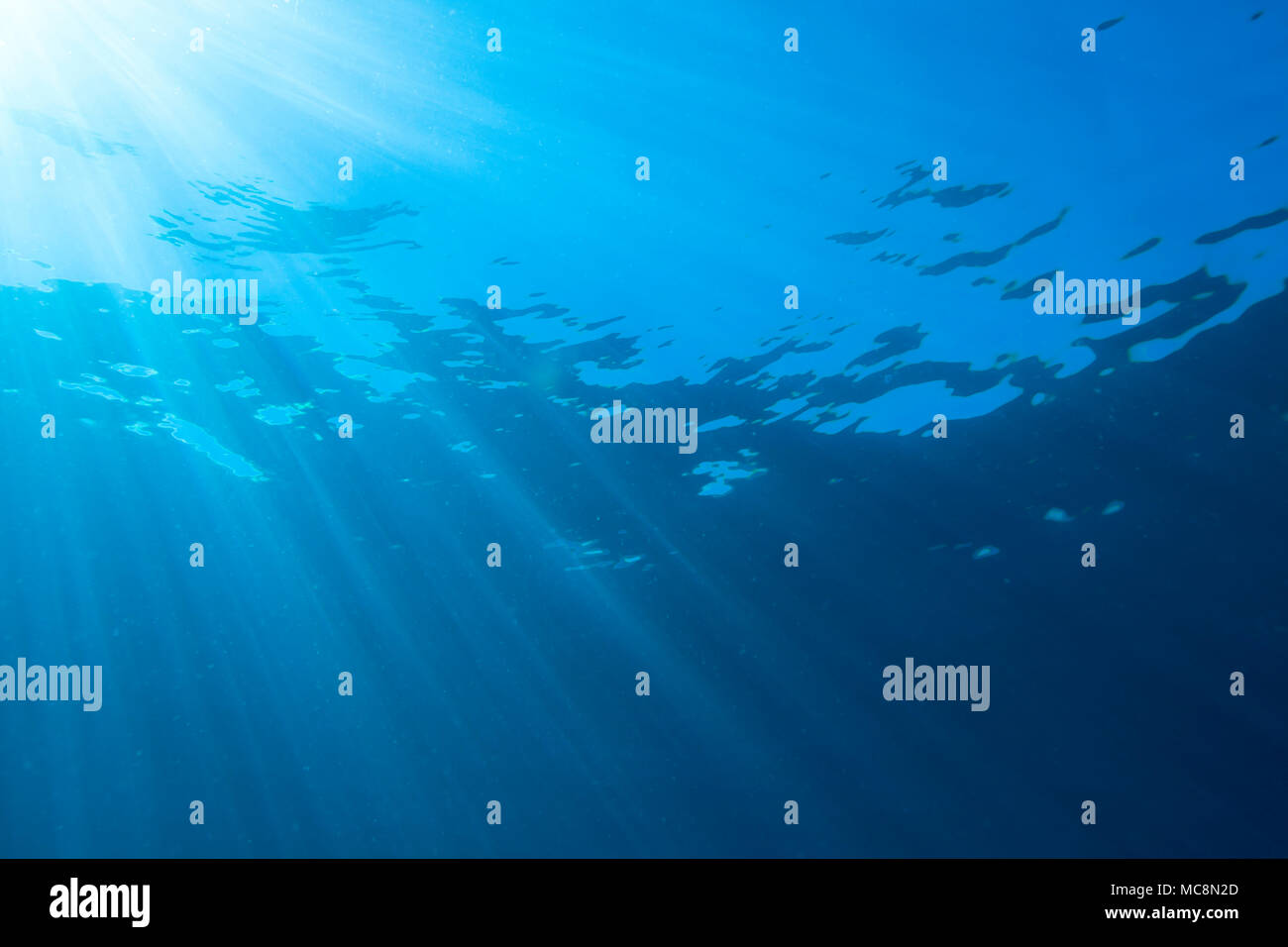 Sunlight streaming through the surface of the Pacific Ocean Stock Photo ...