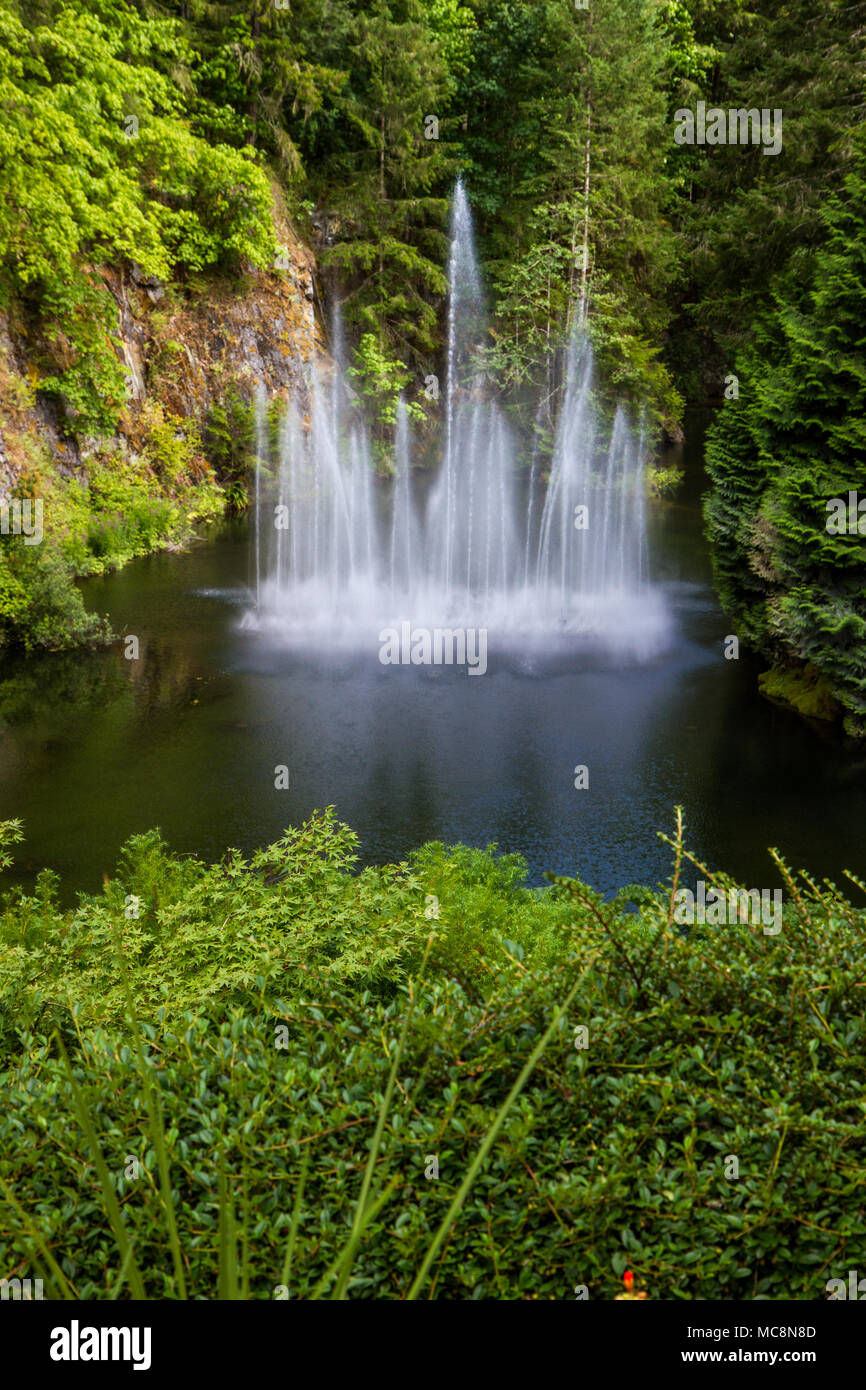Water fountain butchart gardens victoria hi-res stock photography and ...