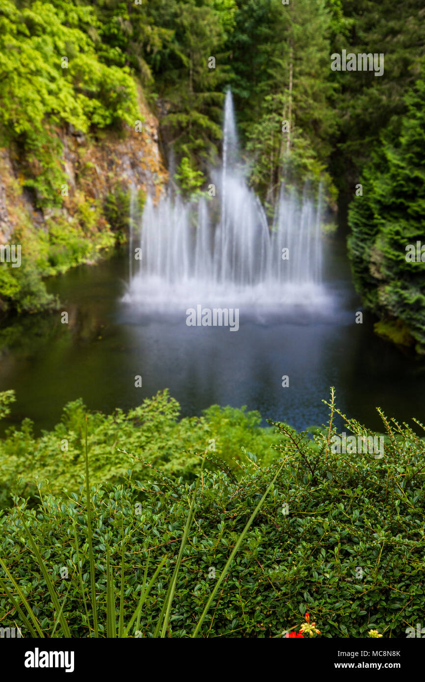 Water fountain butchart gardens victoria hi-res stock photography and ...