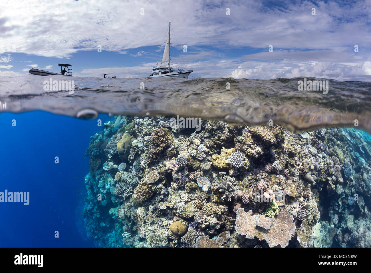 Dive tenders hi-res stock photography and images - Alamy