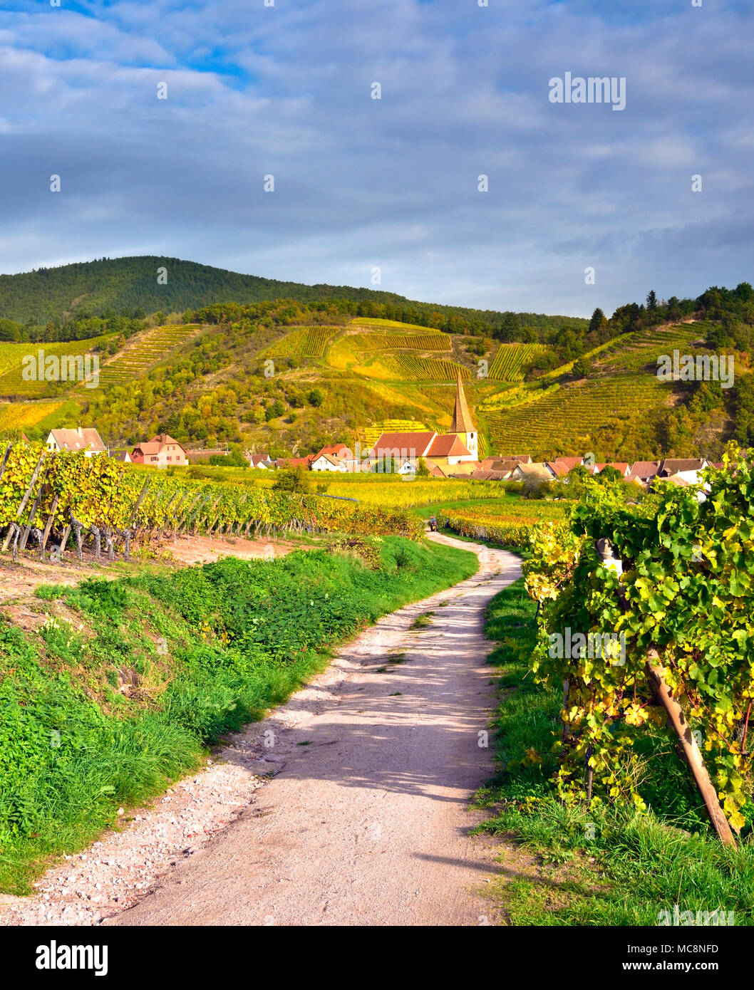 Alsace towns and villages hi-res stock photography and images - Alamy