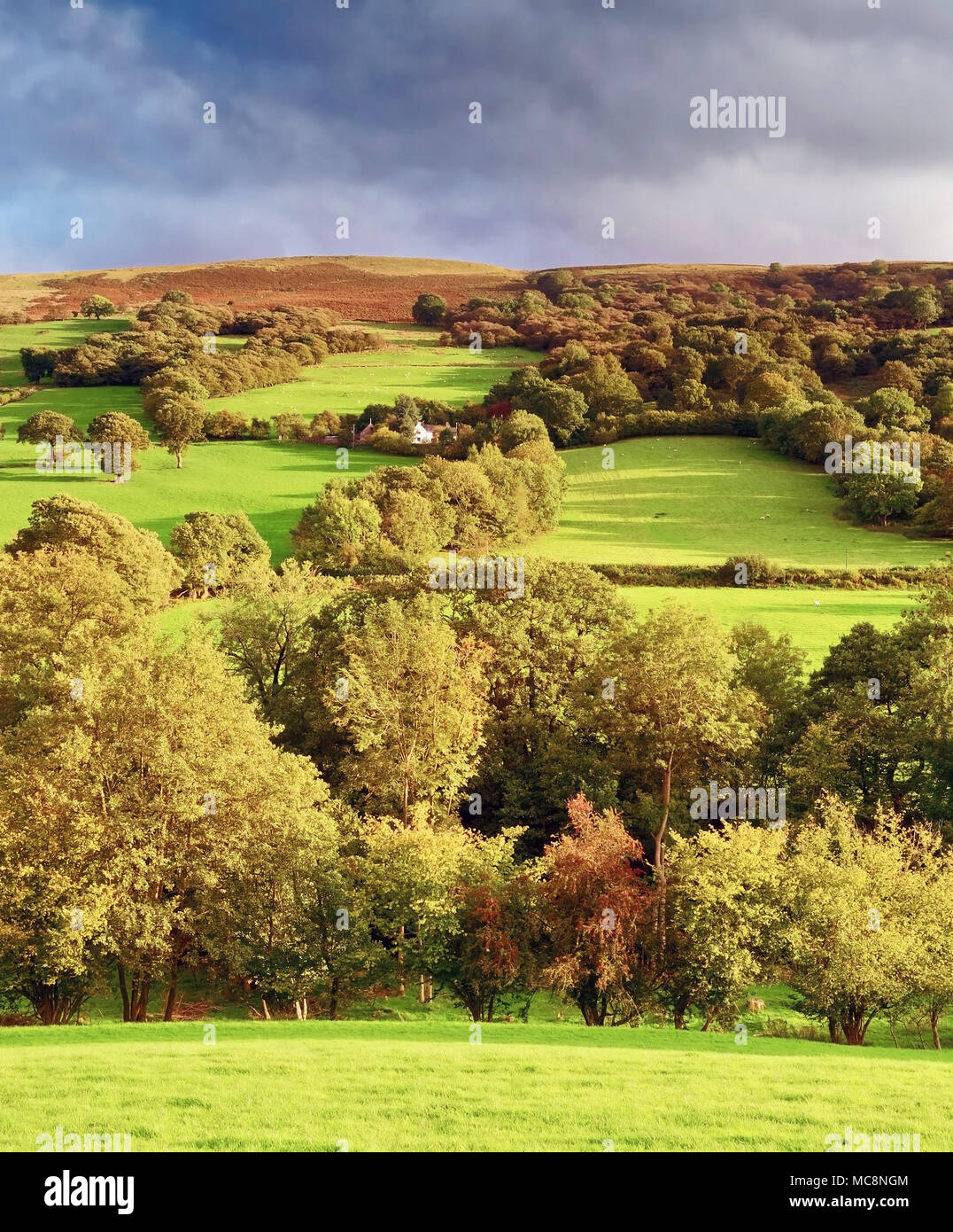 Countryside views of hills and valley hi-res stock photography and ...