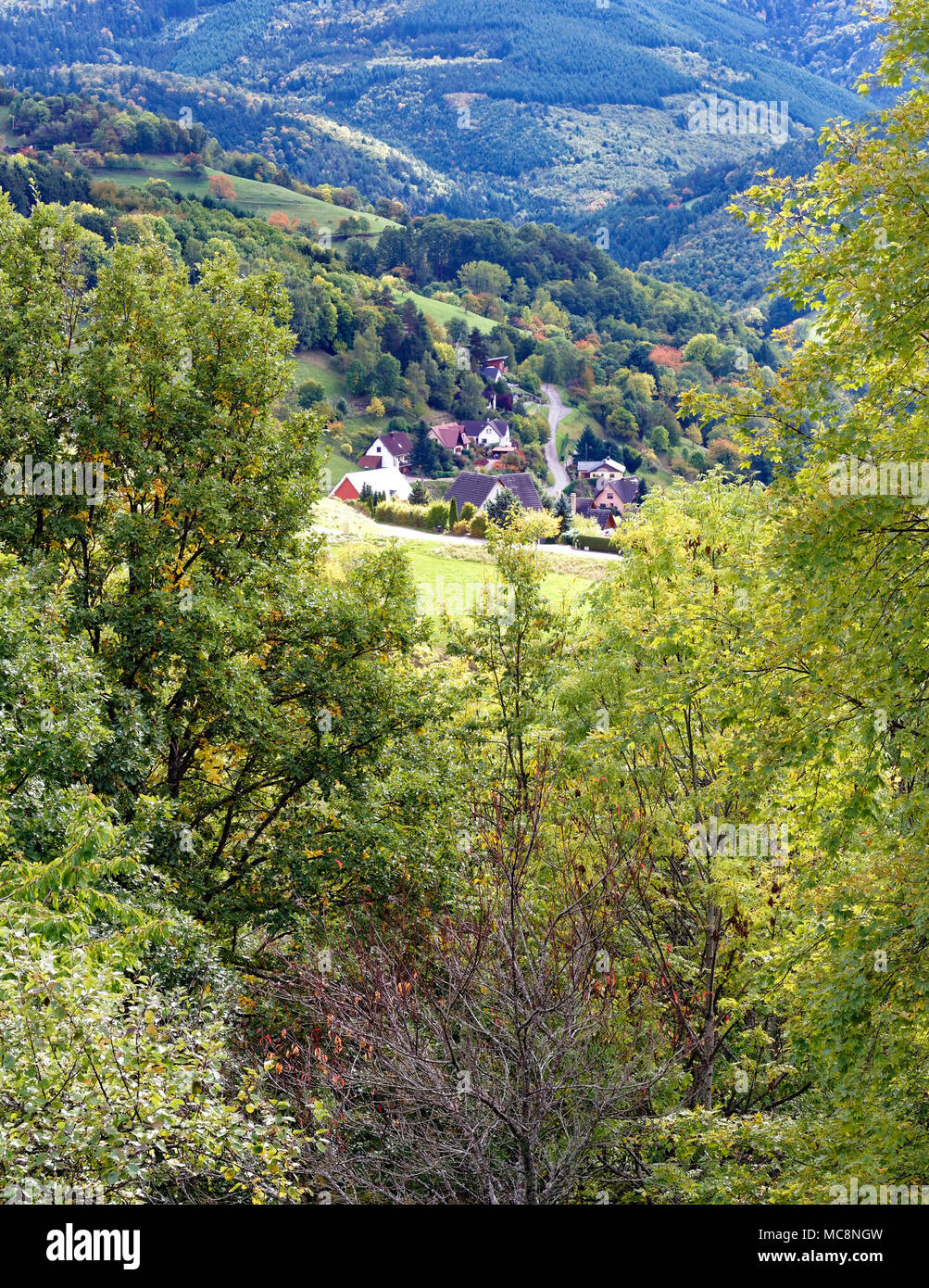 An elevated view, in late summer, of the leafy tree covered landscape ...