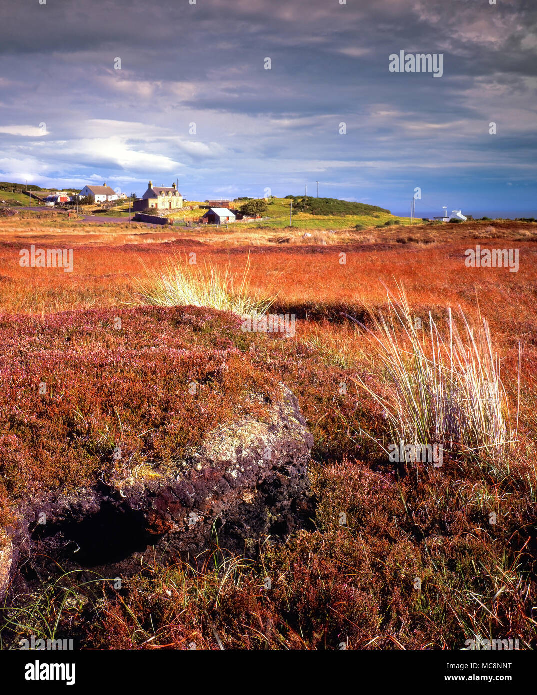 A view across moorland towards the remote village of Strathy in ...