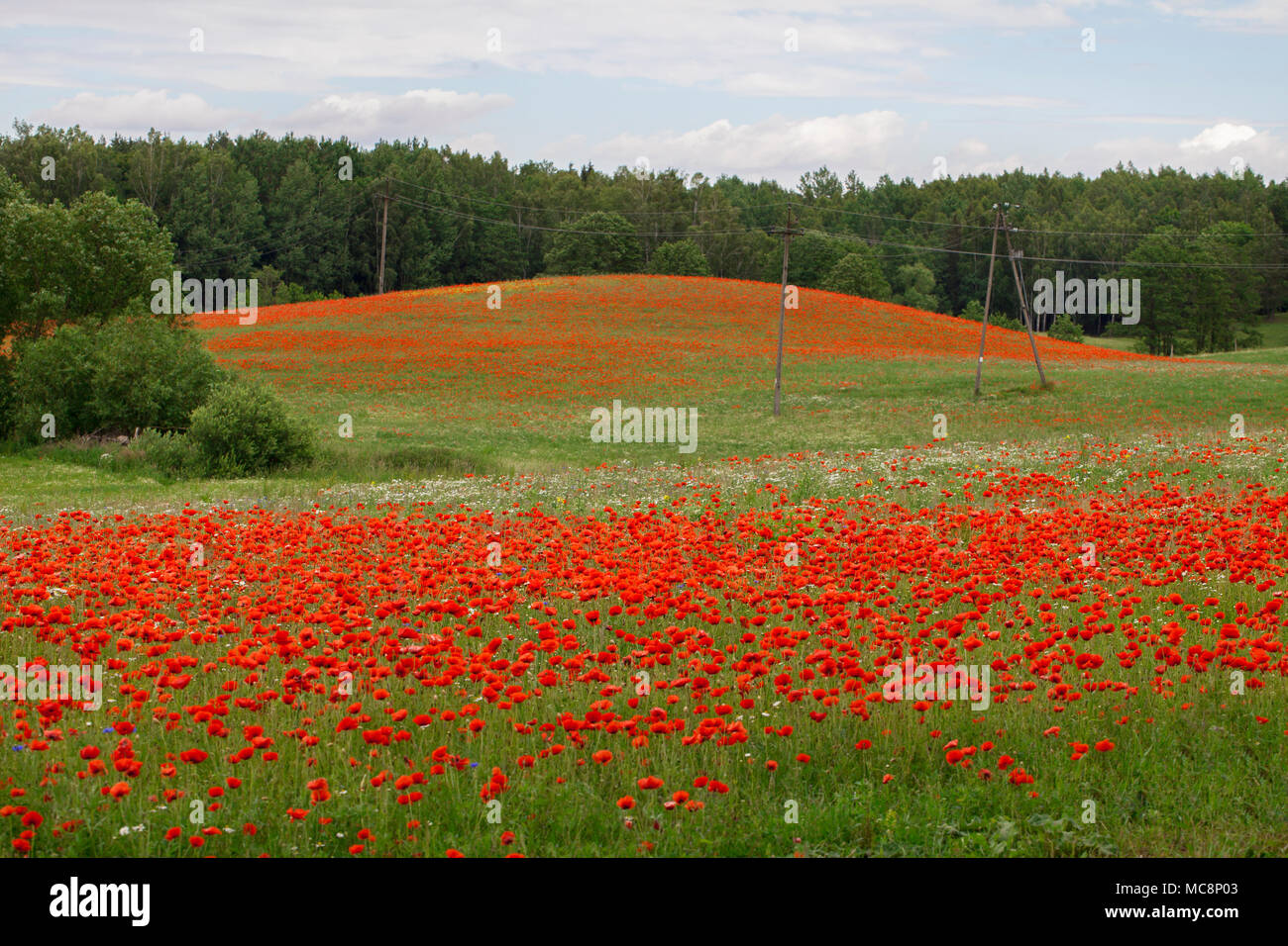 Horizontal colours wild nature colour hi-res stock photography and ...