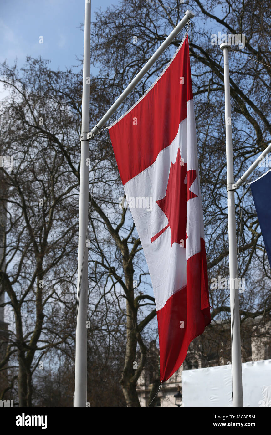 The flag of Canada flies with other flags from countries of the ...