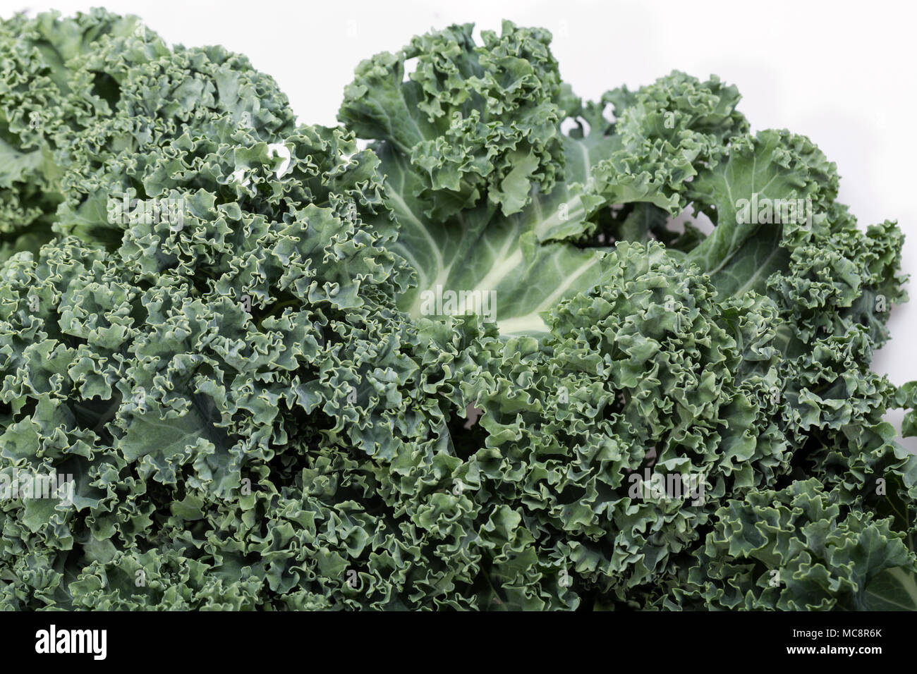 A healthy fresh curly kale Stock Photo - Alamy