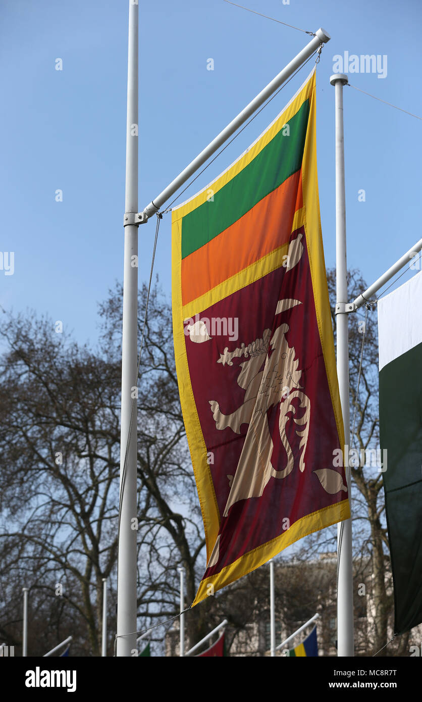 The flag of Sri Lanka flies with other flags from countries of the ...