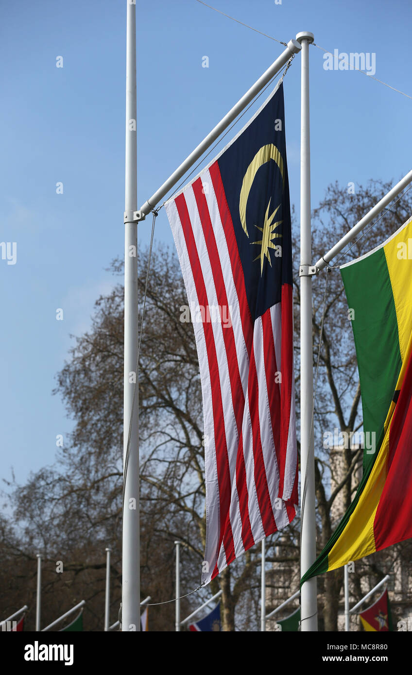 The flag of Malaysia flies with other flags from countries of the ...