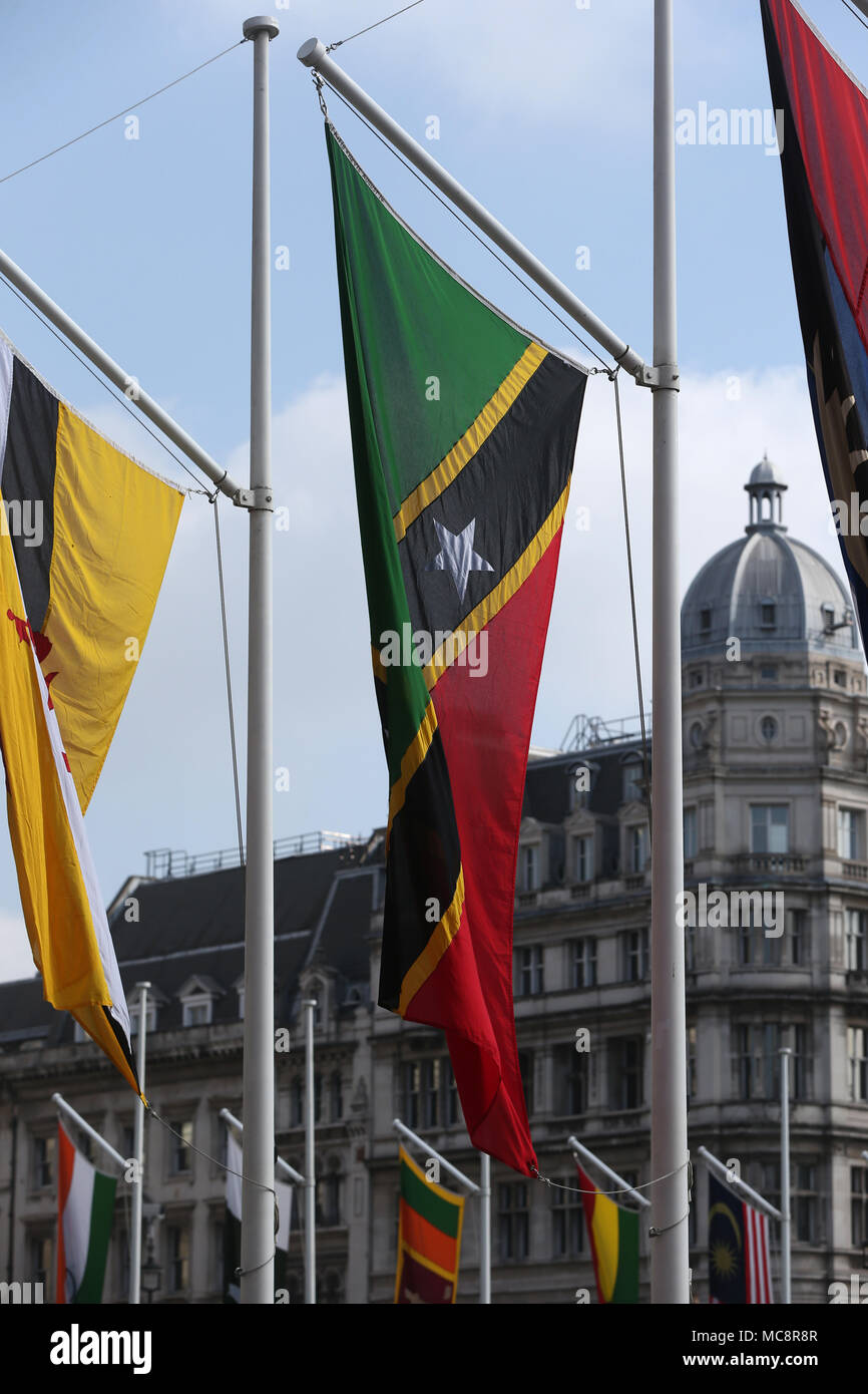 The flag of St Kitts & Nevis flies with other flags from countries of ...