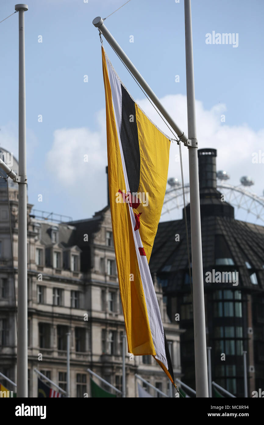 The flag of Brunei flies with other flags from countries of the ...