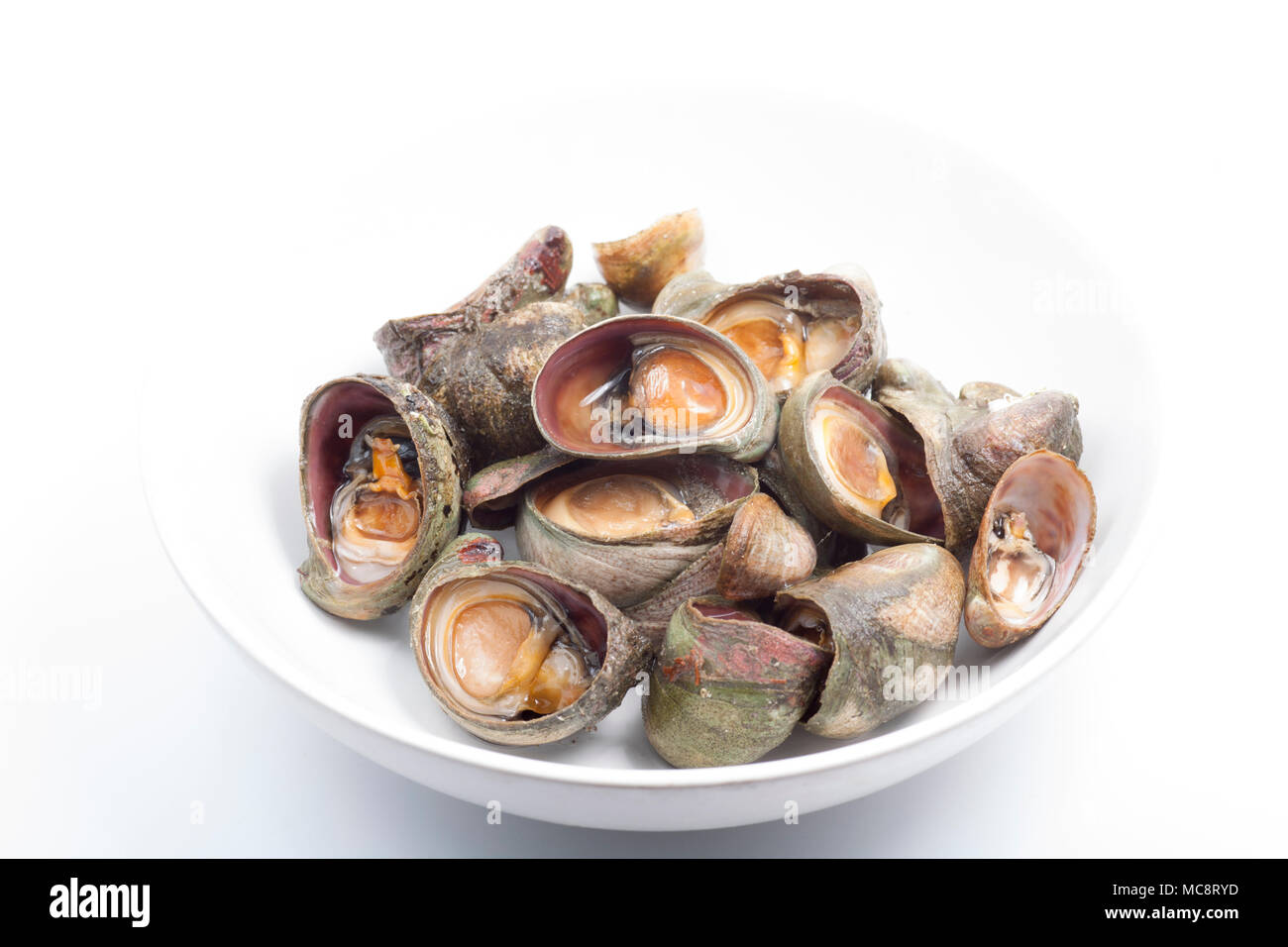 Atlantic slipper limpets hi-res stock photography and images - Alamy