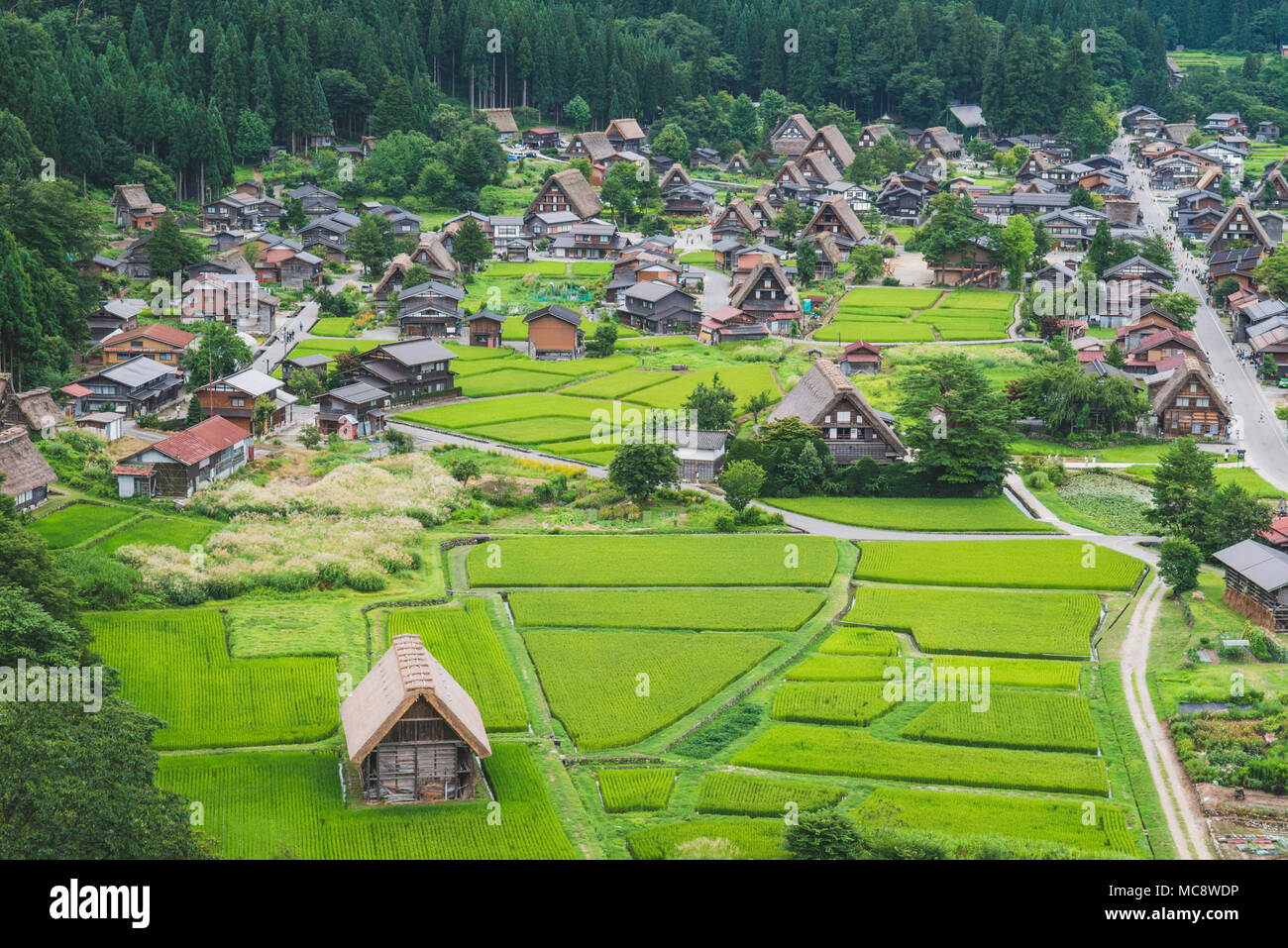 Japanese life, landscapes and temples Photo: Alessandro Bosio/Alamy ...