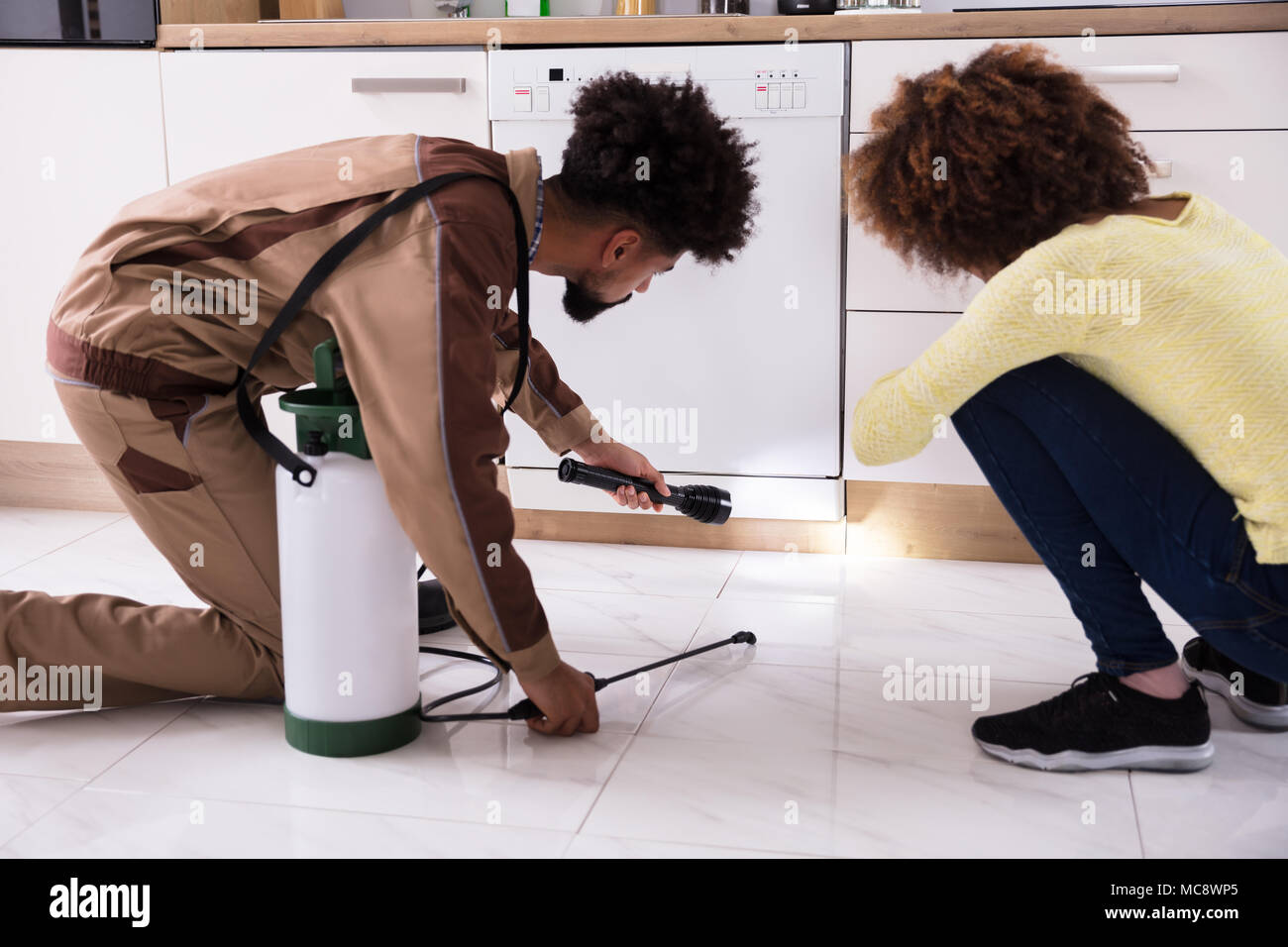 Woman Looking At Male Pest Control Worker With Torch Spraying Pesticide ...