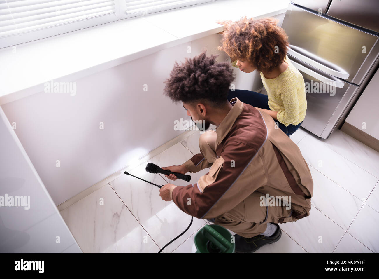 Human cockroach hi-res stock photography and images - Alamy