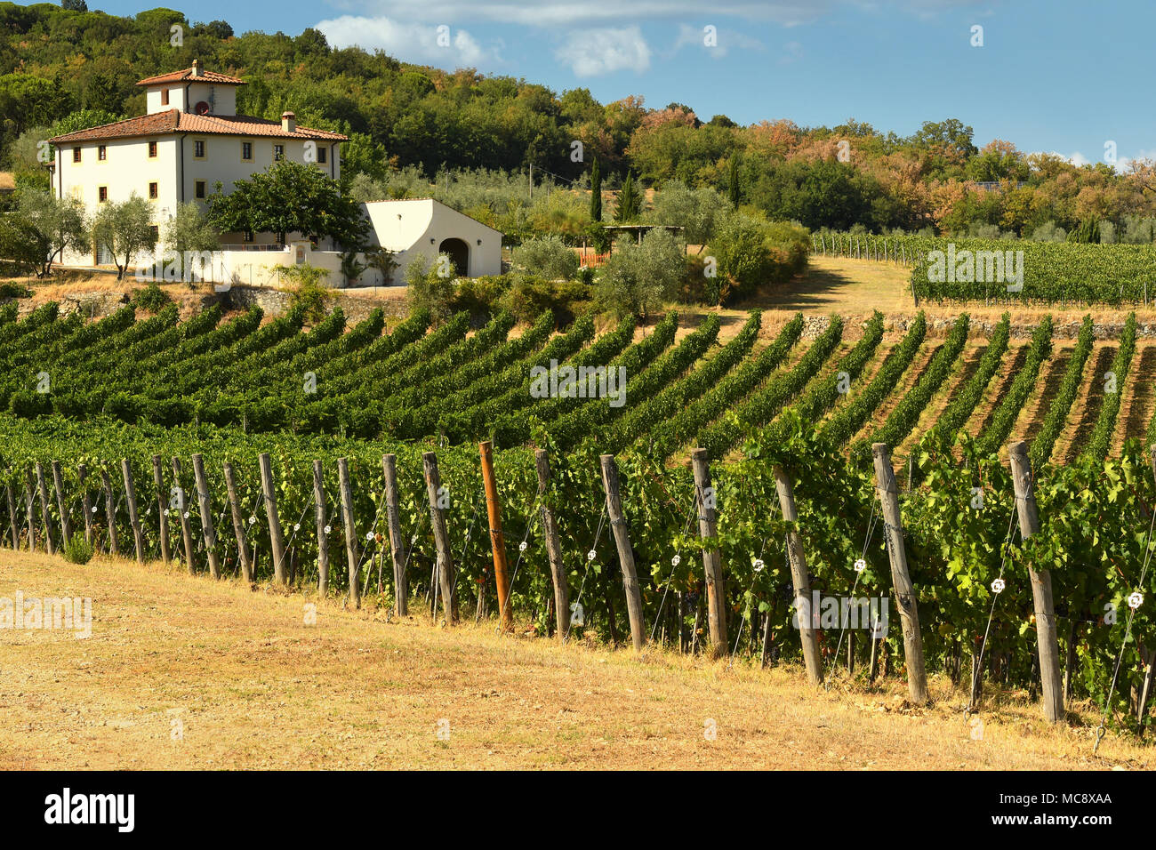 Chianti classic vineyard hi-res stock photography and images - Alamy
