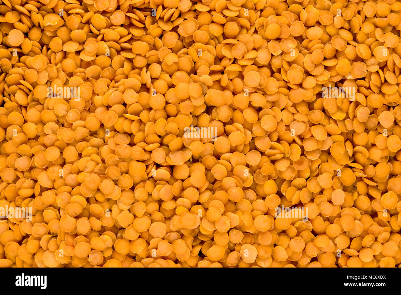 Very sharp and clear background surface of red lentil grains Stock ...