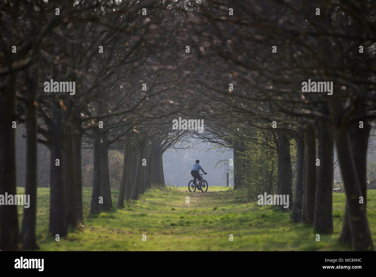 Wanstead park hi-res stock photography and images - Alamy
