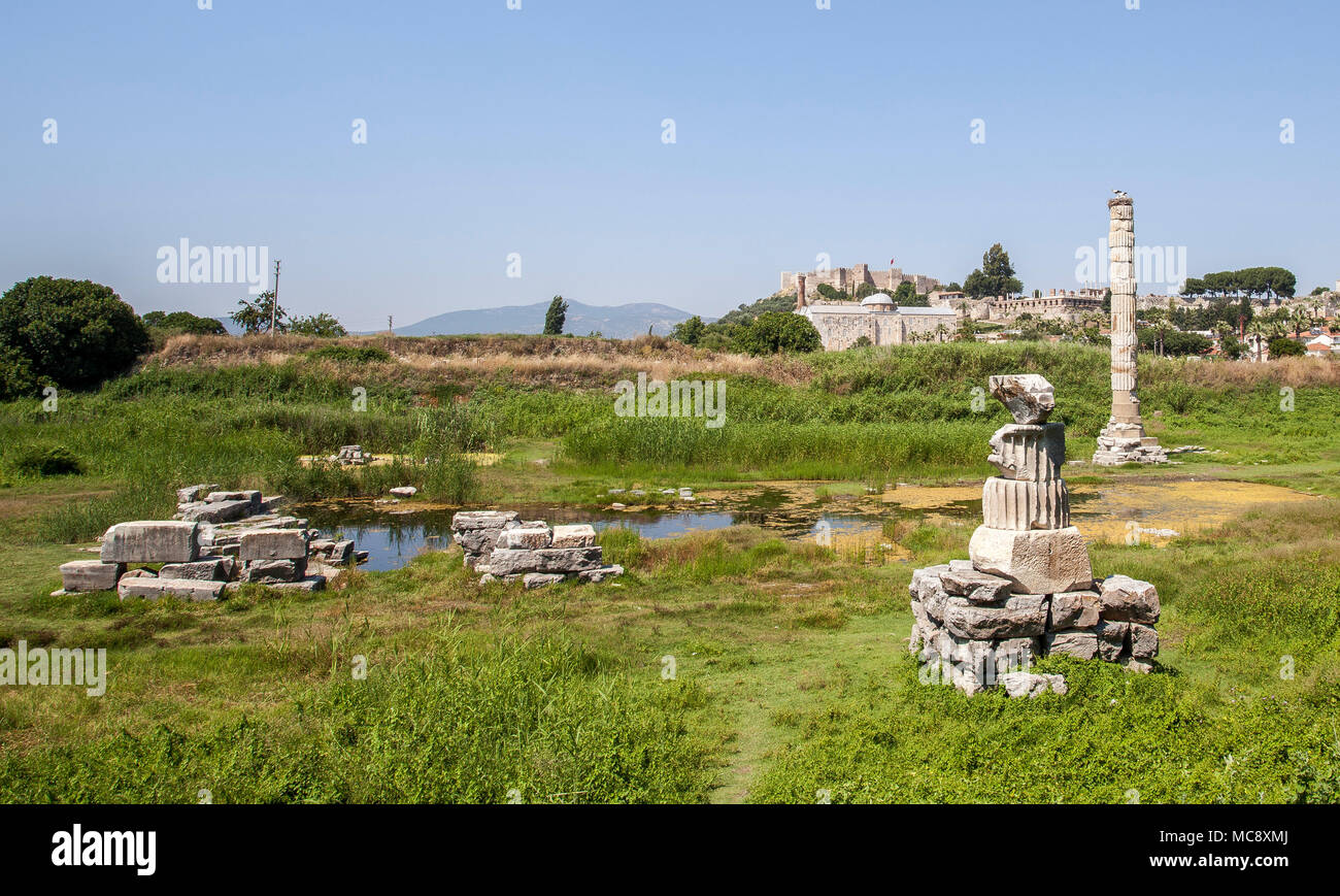 Ruins of Temple of Artemis at Ephesus, the ancient town located in ...