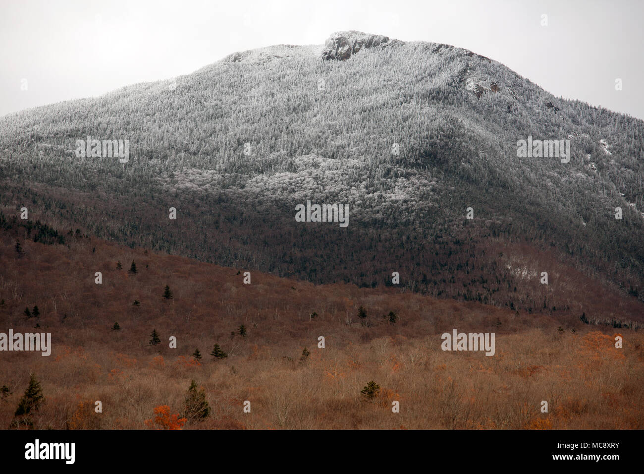 Mountain in New Hampshire and the forest at fall time Stock Photo - Alamy