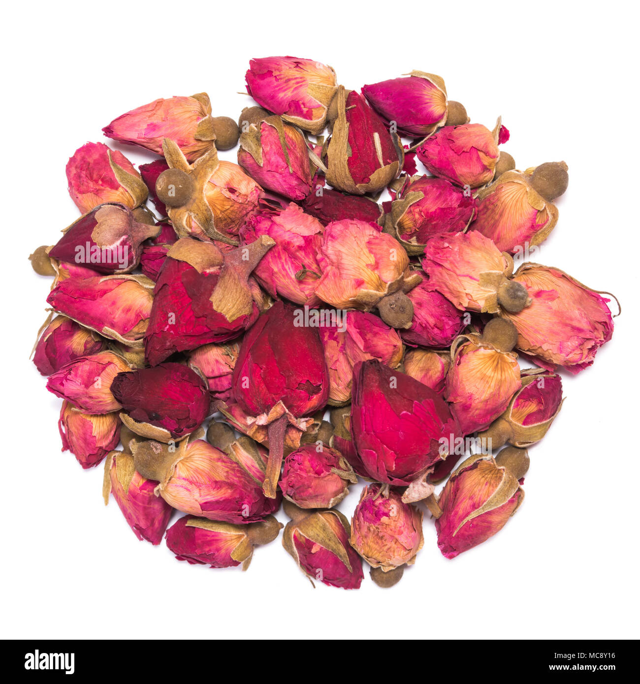 Tea roses close up Cut Out Stock Images & Pictures - Alamy