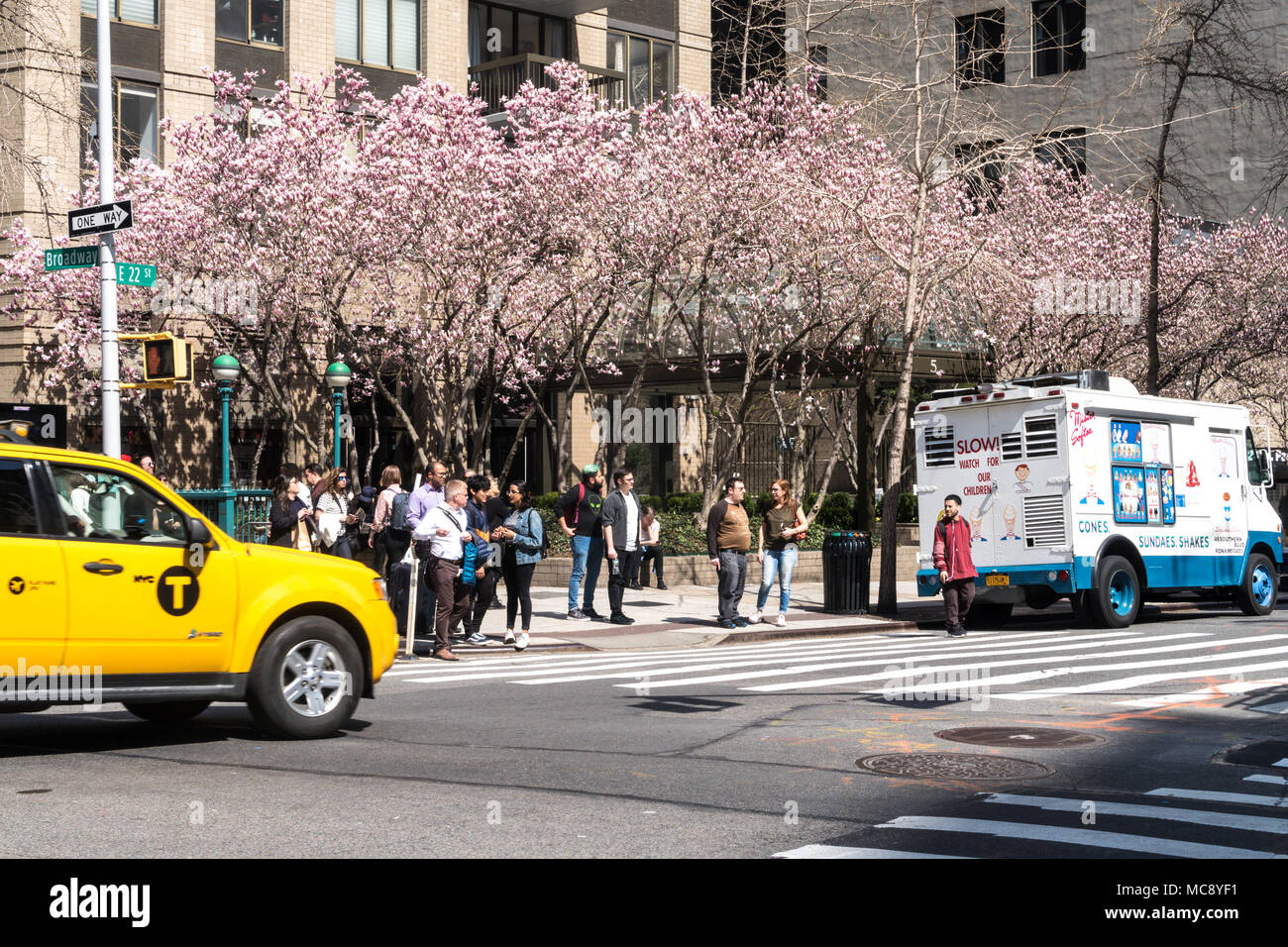 Crosswalk and trees hi-res stock photography and images - Alamy