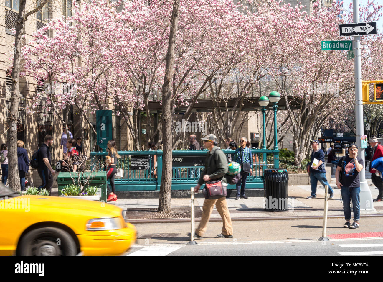 Springtime Street Scene in New York City, USA Stock Photo - Alamy