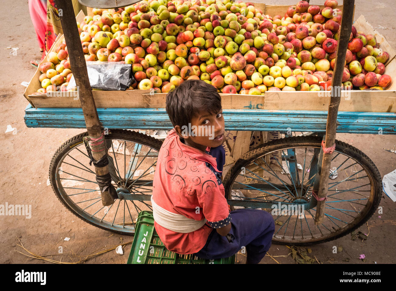 A young apple vendor sitting by his cart in Hajipur, India Stock Photo ...