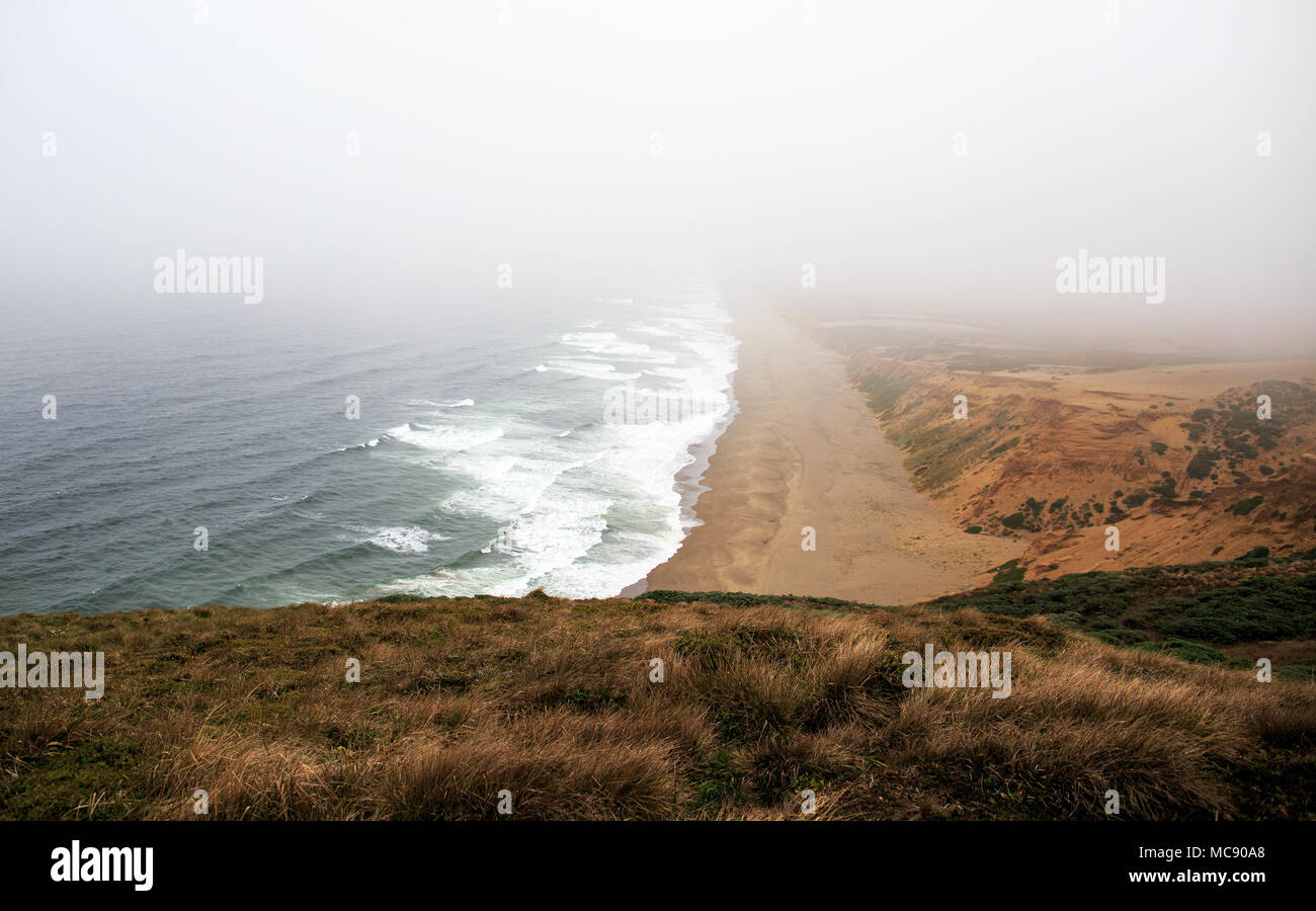 Long beach peaks through a layer of low fog in Point Reyes National ...