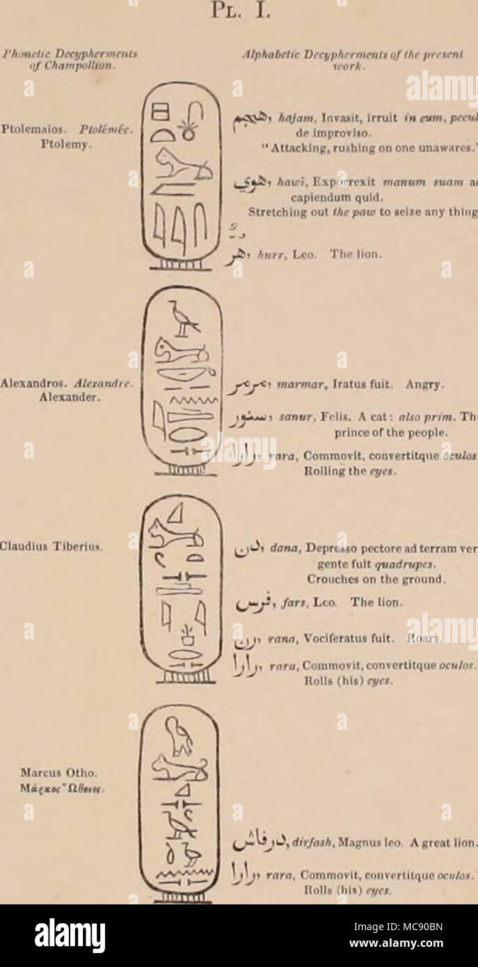 Primeval history hi-res stock photography and images - Alamy