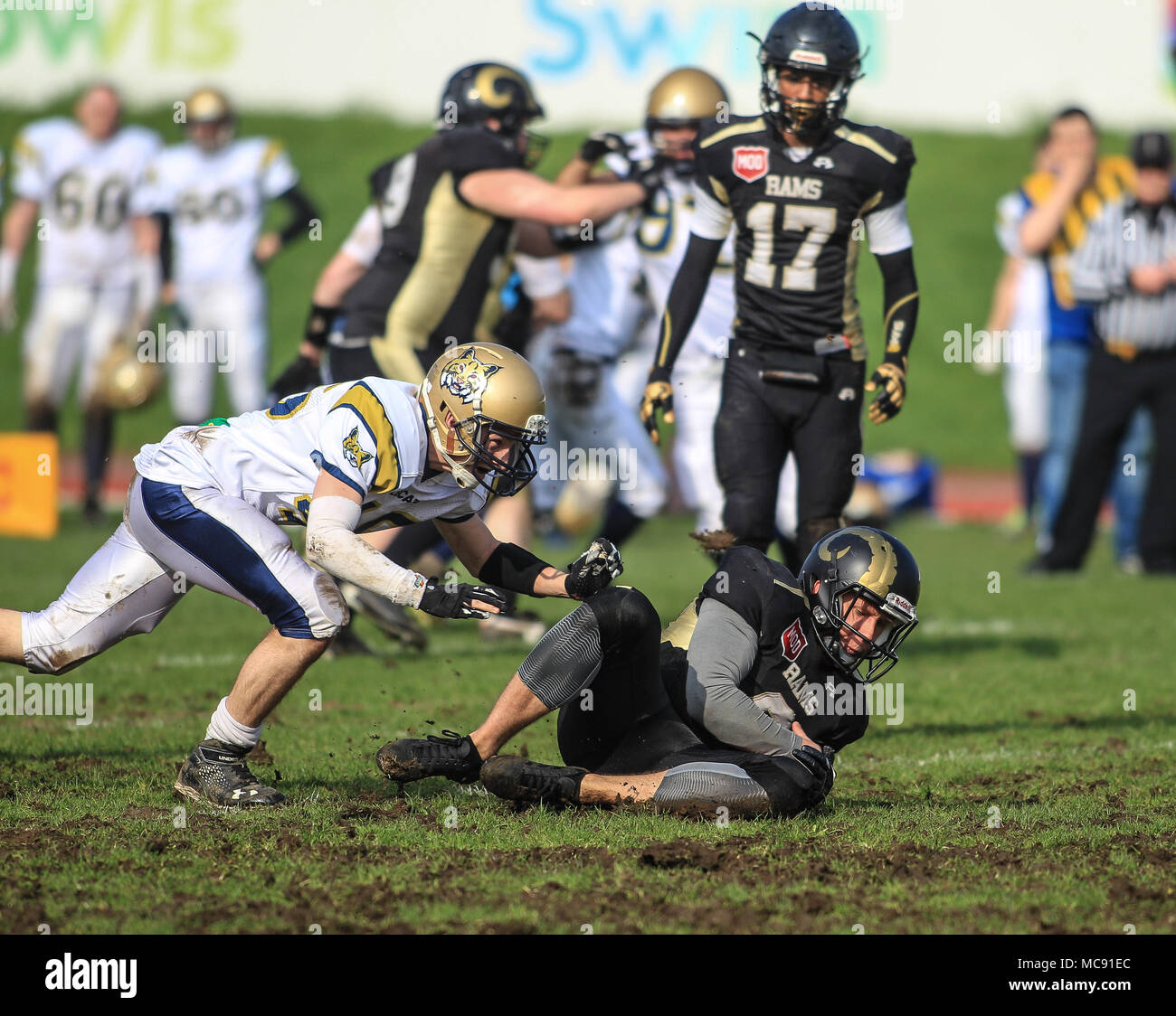 Dan rams hi-res stock photography and images - Alamy
