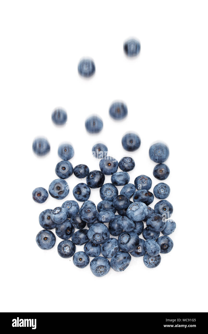 falling natural blueberry berries isolated on white background. copy ...