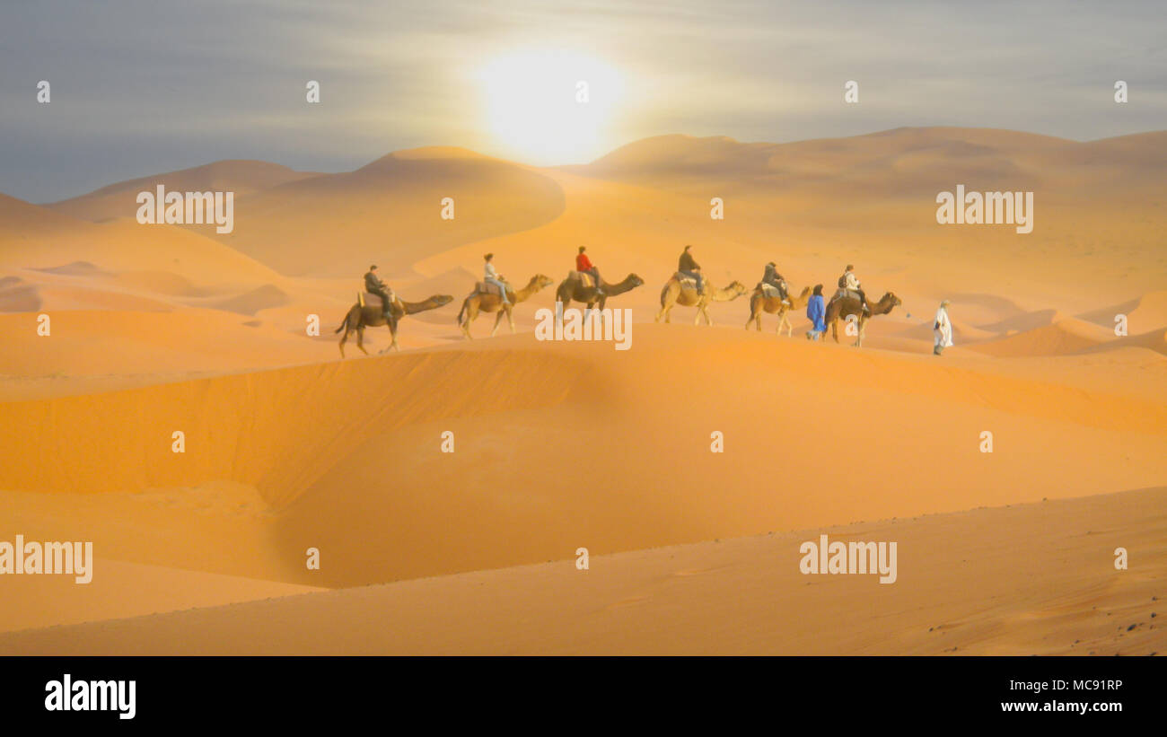 Abstract Blurred image. Camel caravan going through the sand dunes in the sahara desert Morocco ...