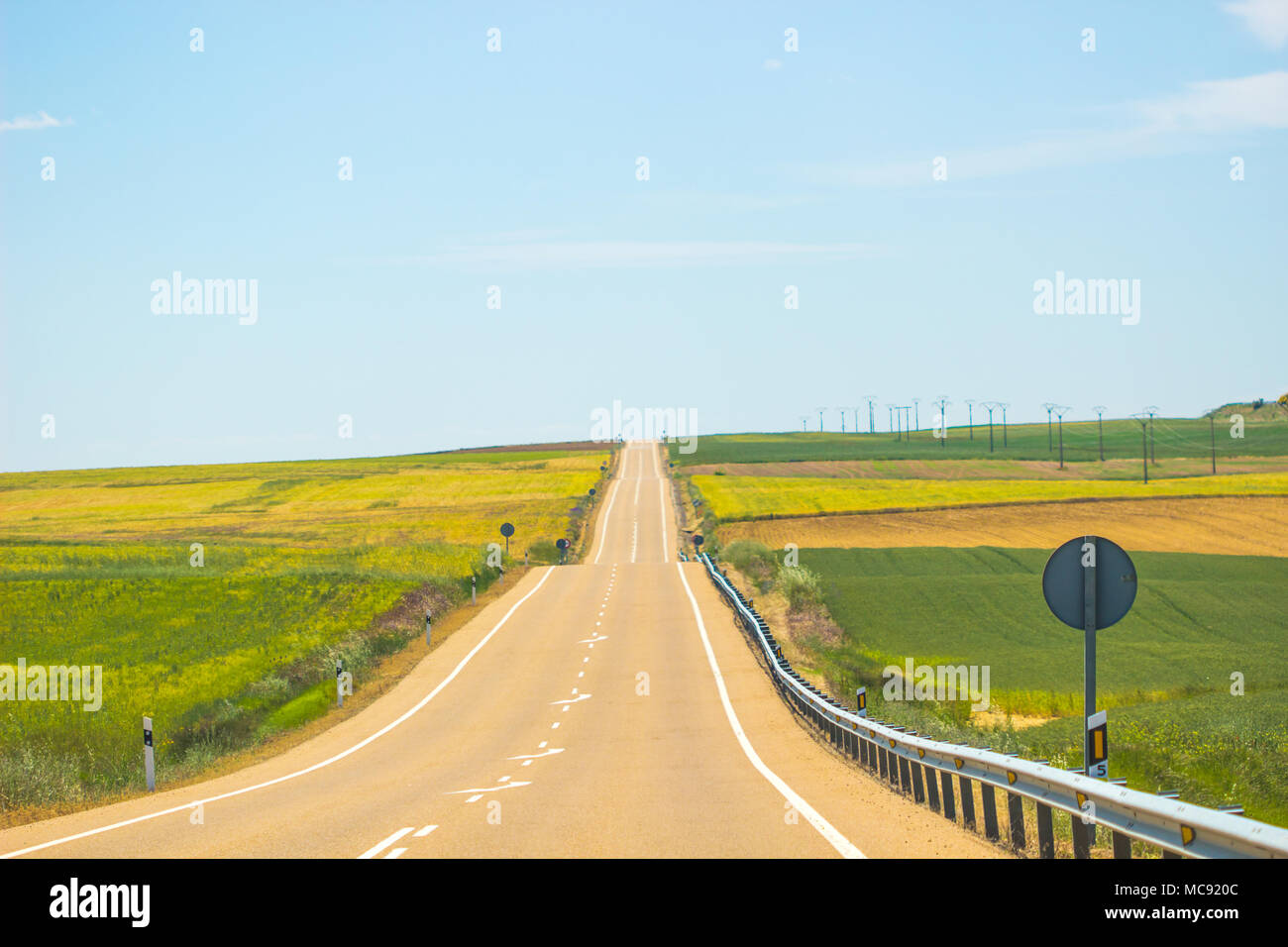 Long road with field of golden wheat in nature background Stock Photo ...