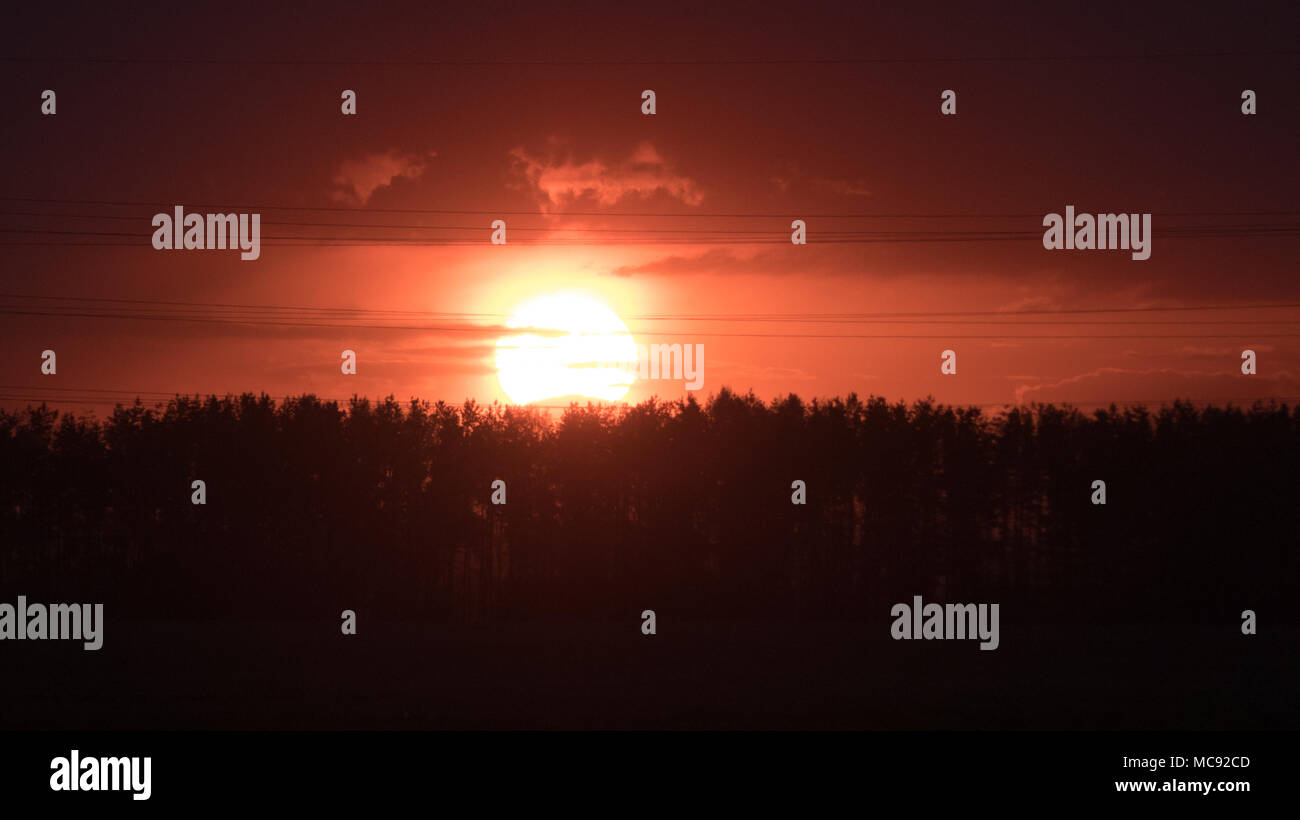 Beautiful sunrise electrical lines background trees Stock Photo - Alamy