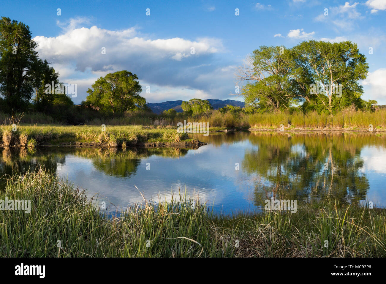 A peaceful beaver pond reflects the serene landscape in central ...