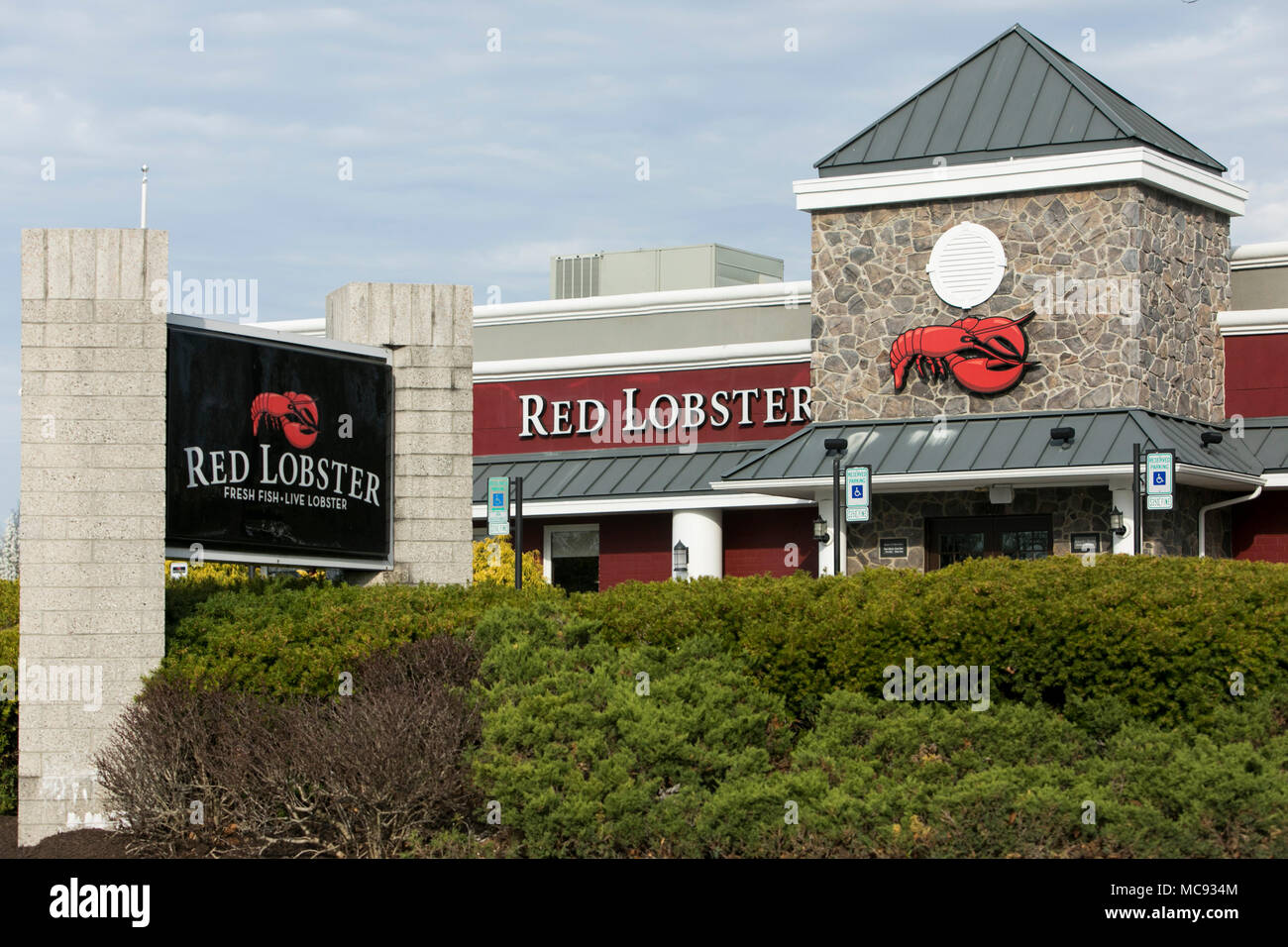 A logo sign outside of a Red Lobster restaurant location in Columbia ...