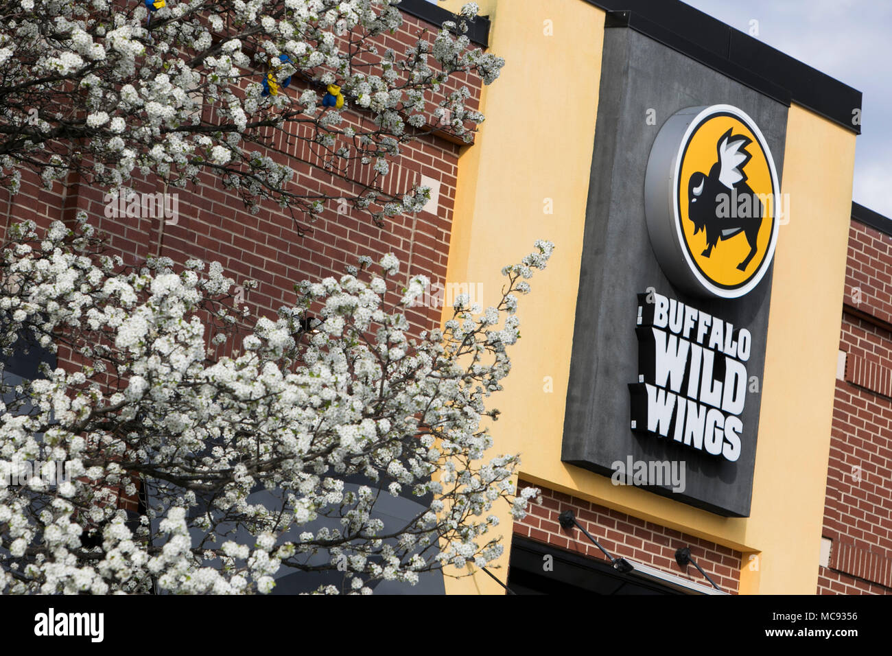 Buffalo wild wings hi-res stock photography and images - Alamy
