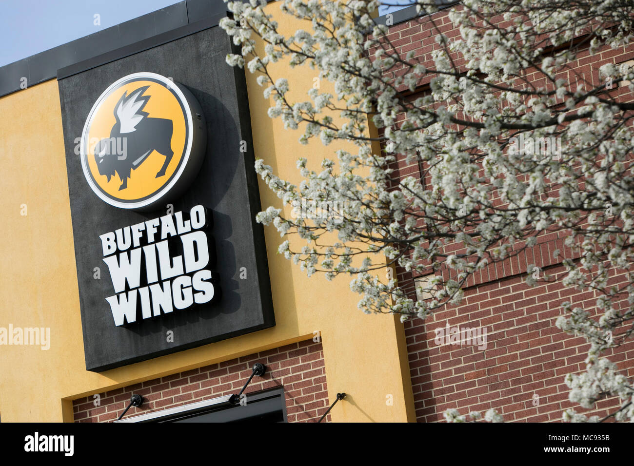 Buffalo Wild Wings High Resolution Stock Photography and Images - Alamy