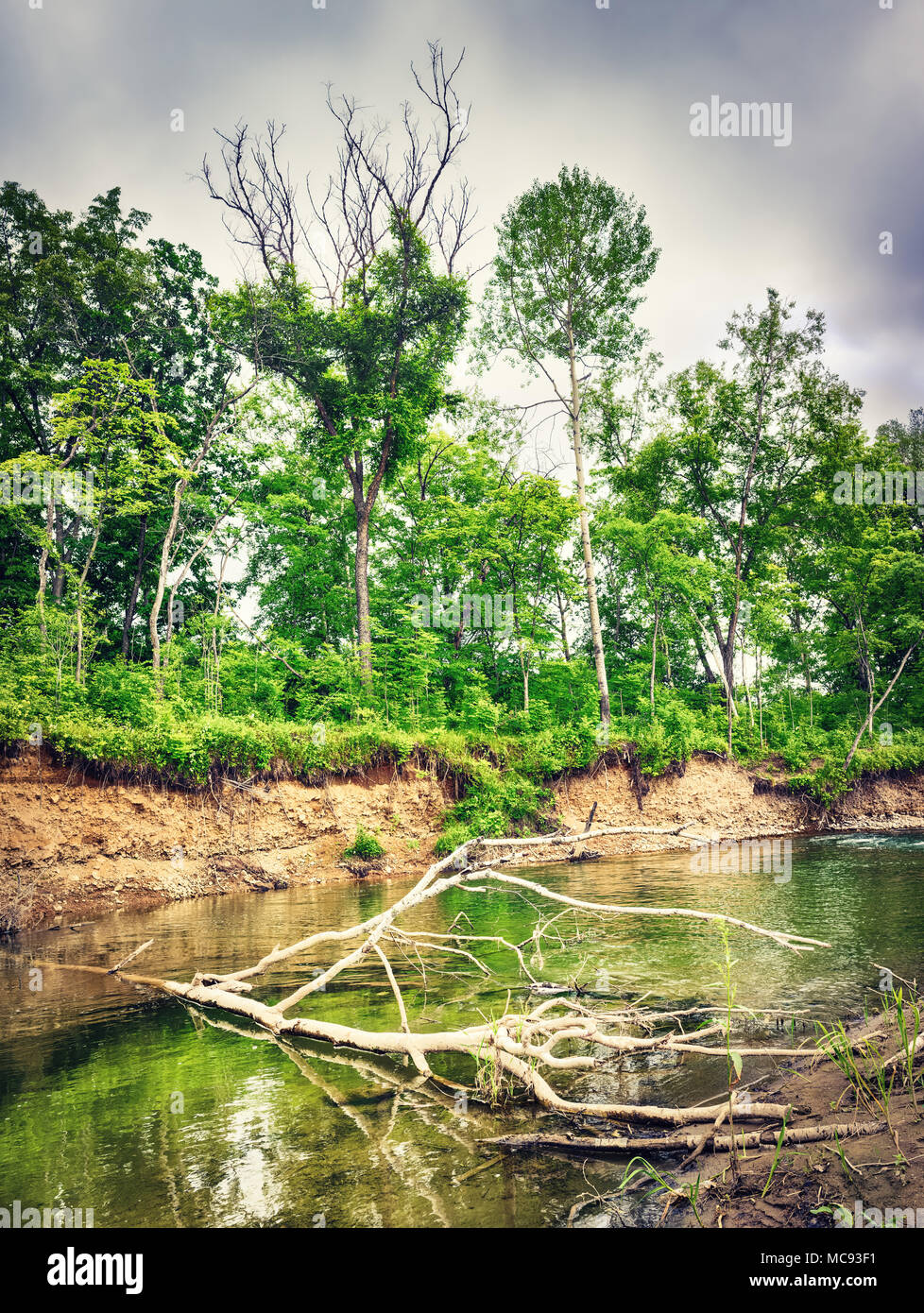 Beautiful russian landscape. Stream on the foreground Stock Photo - Alamy