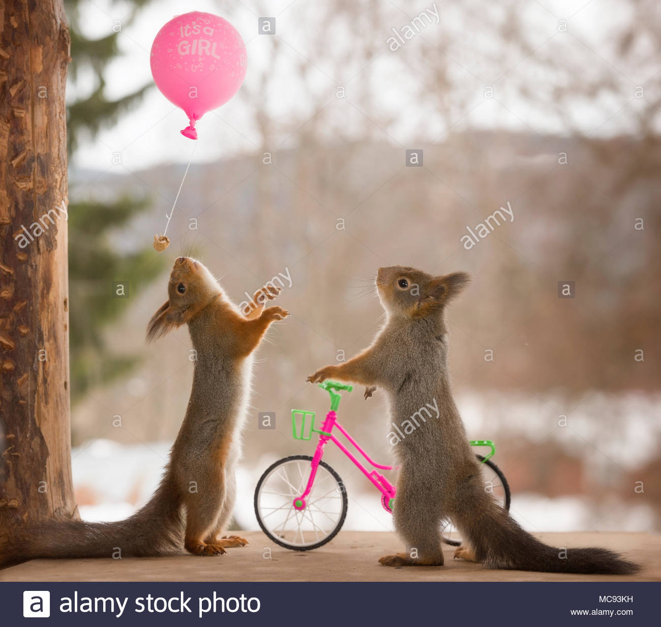 Balloon Animal Stock Photos & Balloon Animal Stock Images - Alamy